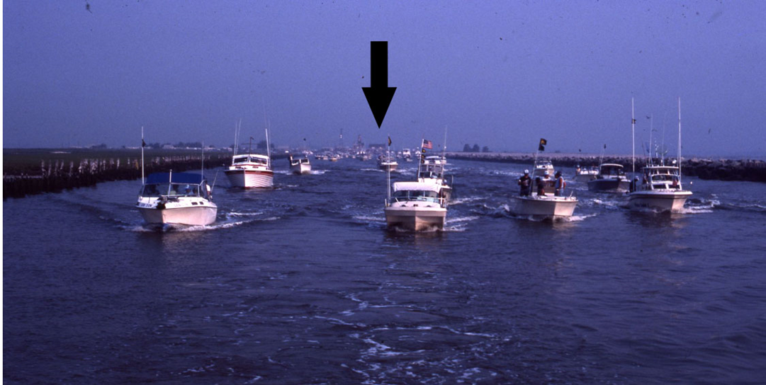The Mispillion Harbor Annual World Weakfish Tournament 1979-1991 ...